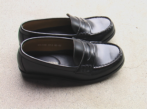 MOONSTARレディー通学靴22,5EEE (ラプラス) 影森の靴/バッグの中古あげます・譲ります｜ジモティーで不用品の処分