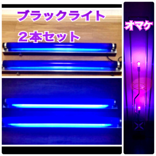 【引越し処分】値下！3.5千→3千 ブラックライト FL20SBL-B 60cm 2セット 100V 20W スイッチ付き オマケでフロアラ… (フラワー) 横浜の照明器具の中古あげます・譲り ...
