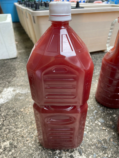 【数量限定】PSB 2L (ラルム) 岩鼻のその他の中古あげます・譲ります｜ジモティーで不用品の処分