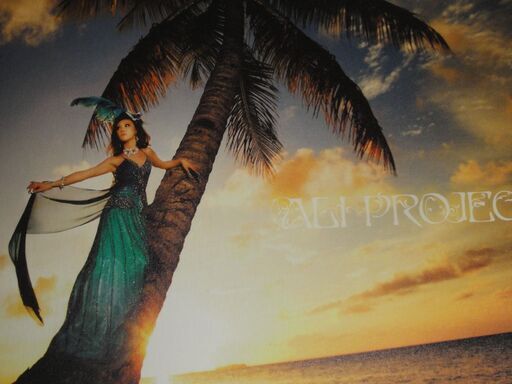 ALI Project桂冠詩人 SINGLE COLLECTION PLUS(初回限定盤)(DVD付) (アングラ牧場) 高久の本/CD ...
