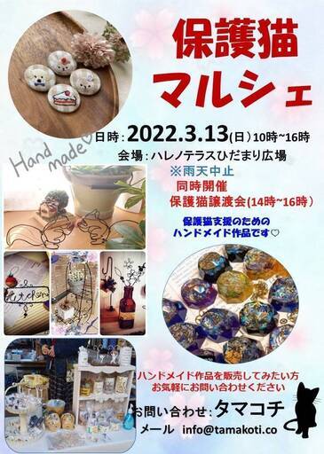 【3月13日開催☆保護猫マルシェ】ハレノテラスでプチワークショップ「イースターグラスアレンジ」／grande domani (グランデドマーニ ...