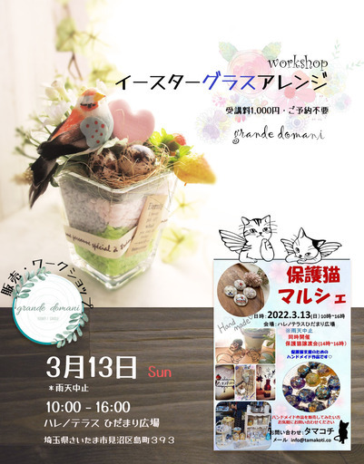 【3月13日開催☆保護猫マルシェ】ハレノテラスでプチワークショップ「イースターグラスアレンジ」／grande domani (グランデドマーニ ...