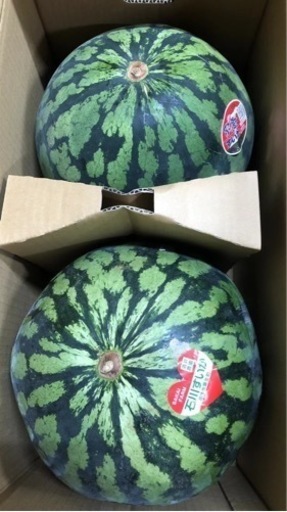 スイカ3L約7kg〜9kg (kenmama) 神戸の家具の中古あげます・譲ります｜ジモティーで不用品の処分