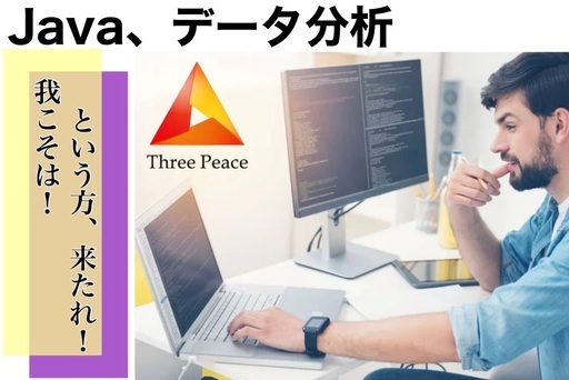 PG/SE【フルリモートワーク】Java,VBA:海運系物流計画システム (株式会社スリーピース) 名古屋のプログラマーの無料求人広告・アルバイト・バイト募集情報｜ジモティー