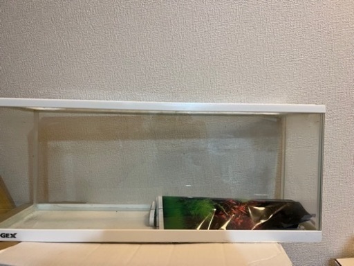 GEX デスクサイドアクアリウム DESKBOY WH600 交渉中 (ganden) 辻堂のその他の中古あげます・譲ります｜ジモティーで不用品の処分