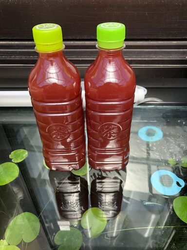 ⑤メダカ稚魚（針子）等の餌用超濃厚PSB(光合成細菌) （500mlX2） 培養用のエビオス錠8錠付き (Ken) 瀬谷のその他の中古あげます・譲ります｜ジモティーで不用品の処分