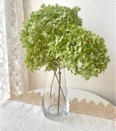 水やり不要な本物のアナベル紫陽花jajg (お花の雑貨屋さん) 福岡の生活雑貨の中古あげます・譲ります｜ジモティーで不用品の処分