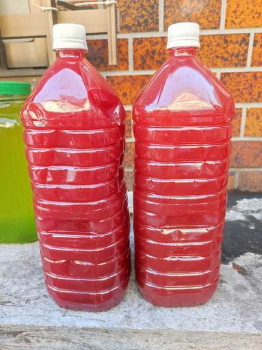 値下げ！🐟PSB 光合成細菌 2000ml 1本② (みーぱぱ) 吹田のその他の中古あげます・譲ります｜ジモティーで不用品の処分