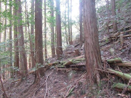 人里離れた山奥の山林約5500坪小川に接する Ch星のふる里 久米の土地販売 土地売買の不動産・住宅情報・無料掲載の掲示板|ジモティー