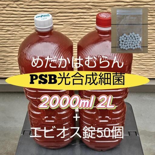 PSB光合成細菌2000ml（2L）+培養剤（エビオス錠）50個② (めだか_はむらん) 東福生のその他の中古あげます・譲ります｜ジモティーで不用品の処分