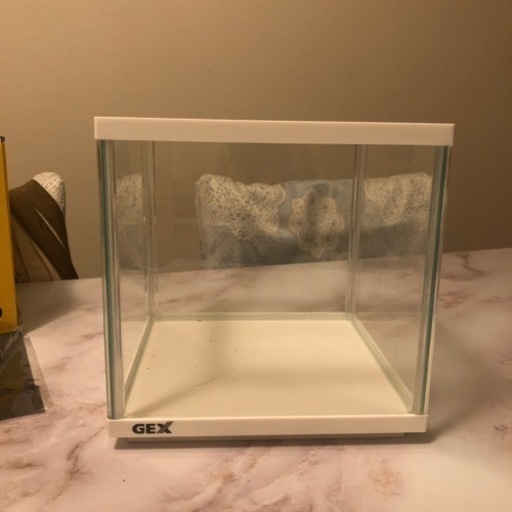 GEX 金魚元気 キューブ水槽サイズ:約W20×D20×H20cm (pingu) 赤羽岩淵のその他の中古あげます・譲ります｜ジモティーで不用品の処分