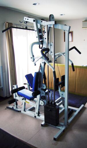 【引取限定】統合筋力トレーニングマシンPROTEUS STUDIO 2000ホームジム (テラぴょん) 研究学園のフィットネス、トレーニングの ...