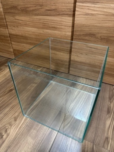 GEX 30cmキューブ水槽 (あああ) 東山のその他の中古あげます・譲ります｜ジモティーで不用品の処分