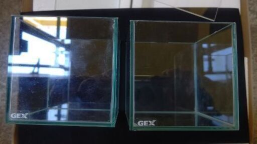 水槽中古GEX グラステリアフィット 100CUBE 2個 (まさみつ) 生田のその他の中古あげます・譲ります｜ジモティーで不用品の処分