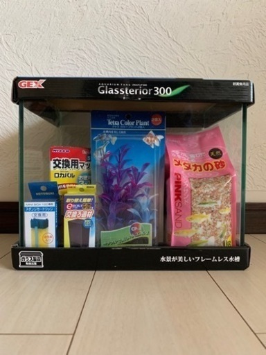 GEX Glassterior300 グラステリア300 セット (のあ) 富谷のその他の中古あげます・譲ります｜ジモティーで不用品の処分