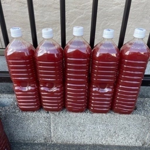 PSB 1.5L 1本 (Kanno.Y) 笹木野のその他の中古あげます・譲ります｜ジモティーで不用品の処分