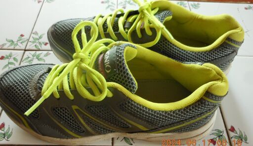 IGNIO スニーカー 24.5cm Anatomical fit ランニング ウォーキング トレーニングシューズグレーイエロー中古 (ノラクロ) 河口湖の靴《スニーカー》の中古あげます・譲り ...