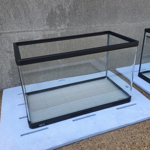 【美品】GEX 曲げガラス60cm水槽 ラピレス RV60 60×30×36cm（単体）① (furusana) 瀬戸口のその他の中古あげます・譲ります｜ジモティーで不用品の処分