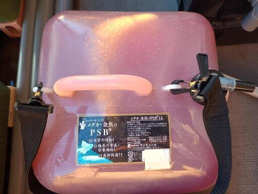 超熟成中 PSB (750ml) ③光合成細菌 サンミューズ製メダカ・金魚のPSB1Lを培養 スプレー容器小分け (薬師まろ) 御幣島のその他の中古あげます・譲ります｜ジモティーで不用品の処分