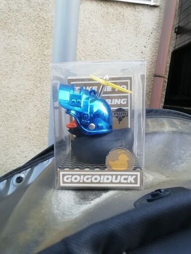 GOGODUCK (片翼の太陽) 草加のその他の中古あげます・譲ります｜ジモティーで不用品の処分