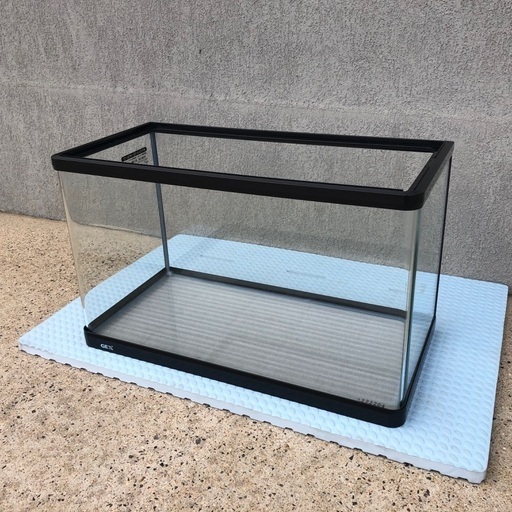 【美品】GEX 曲げガラス60cm水槽 ラピレス RV60 60×30×36cm（単体）④ (furusana) 瀬戸口のその他の中古あげます・譲ります｜ジモティーで不用品の処分