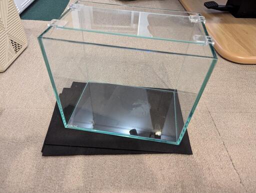 GEX 水槽 幅25cm×高さ21cm×奥行17cm (mochi) 曽根のその他の中古あげます・譲ります｜ジモティーで不用品の処分