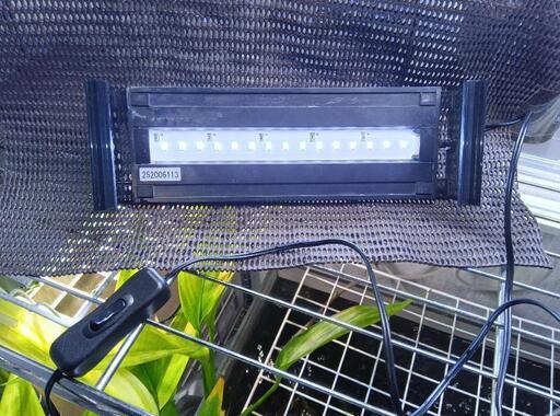 GEX LEDライト小型水槽用 (ヨシメダ) 日向庄内のその他の中古あげます・譲ります｜ジモティーで不用品の処分