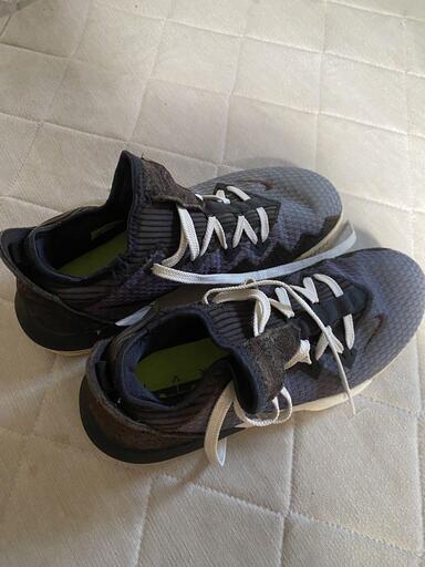 LeBron 16 Low Black Python 26.5 (さやかっちゃん) 蒲田のバスケットボールの中古あげます・譲ります｜ジモティー ...