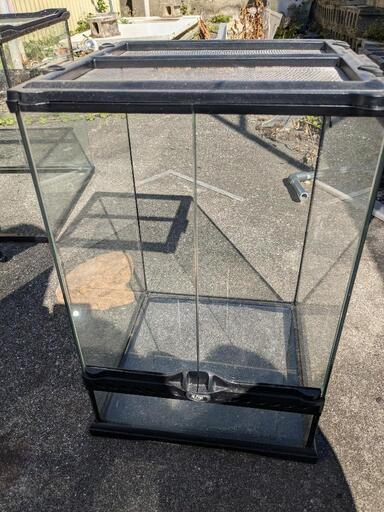 GEX EXOTERRA グラステラリウム3045 PT2602 両開きフロントドア 爬虫類飼育ケージ W31.5×D31.5×H48cm (ケン) 浦添前田のその他の中古あげます・譲ります ...