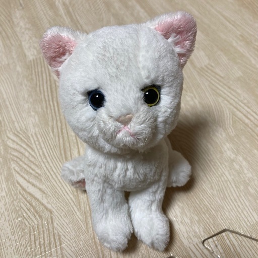 Sunlemon ★ fluffies kitten ぬいぐるみシロネコ人気 (みんみん) 三ツ境のおもちゃの中古あげます・譲ります｜ジモティーで不用品の処分